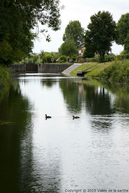 Châteaux and gardens in Anjou on a Boat